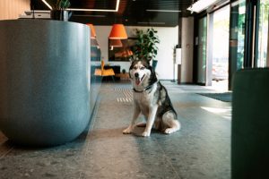 ATLAS - Co-Living Spaces in Vilnius, Lithuania